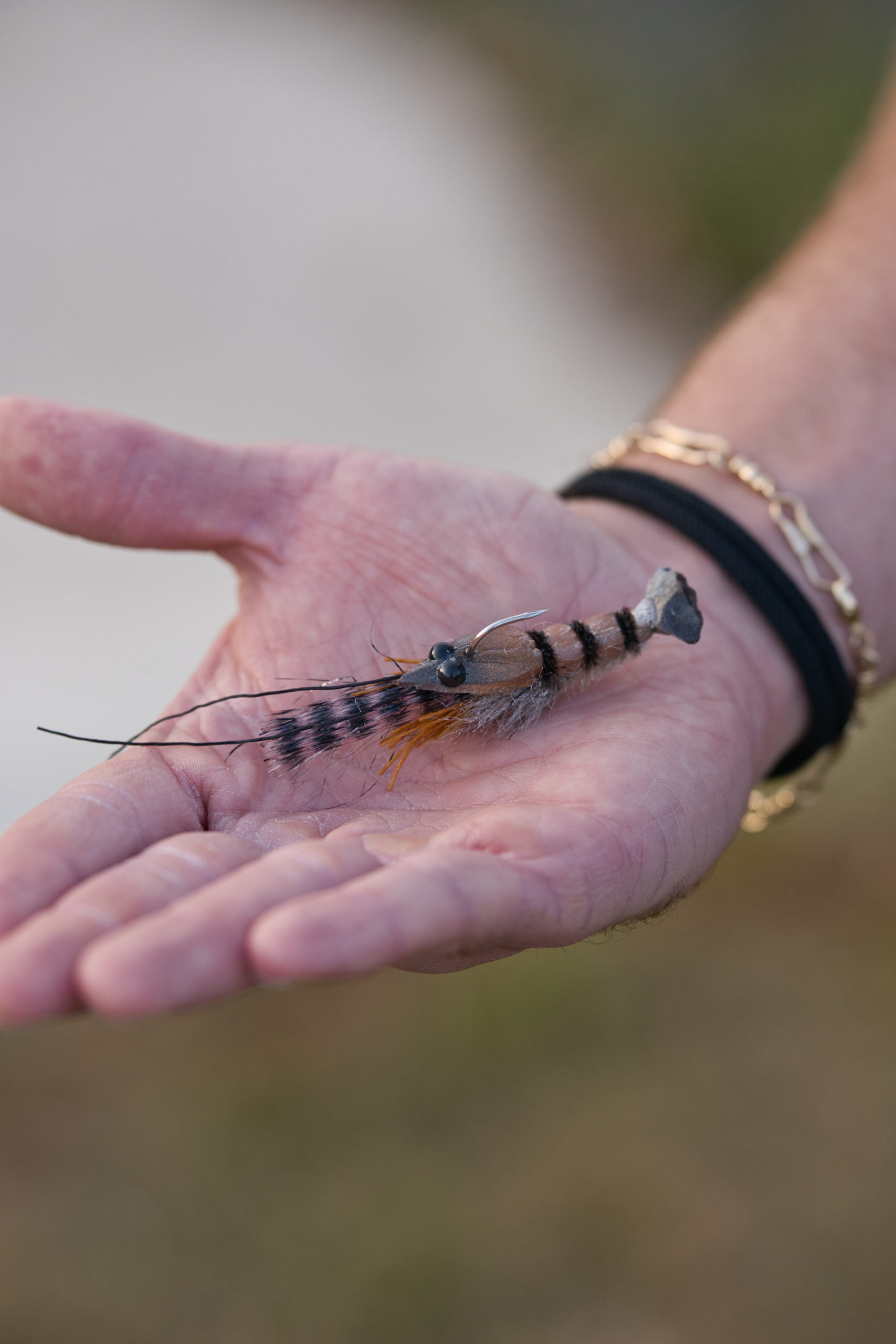 Hook Up Gurgler Shrimp 3-Pack - FishChaseFlies